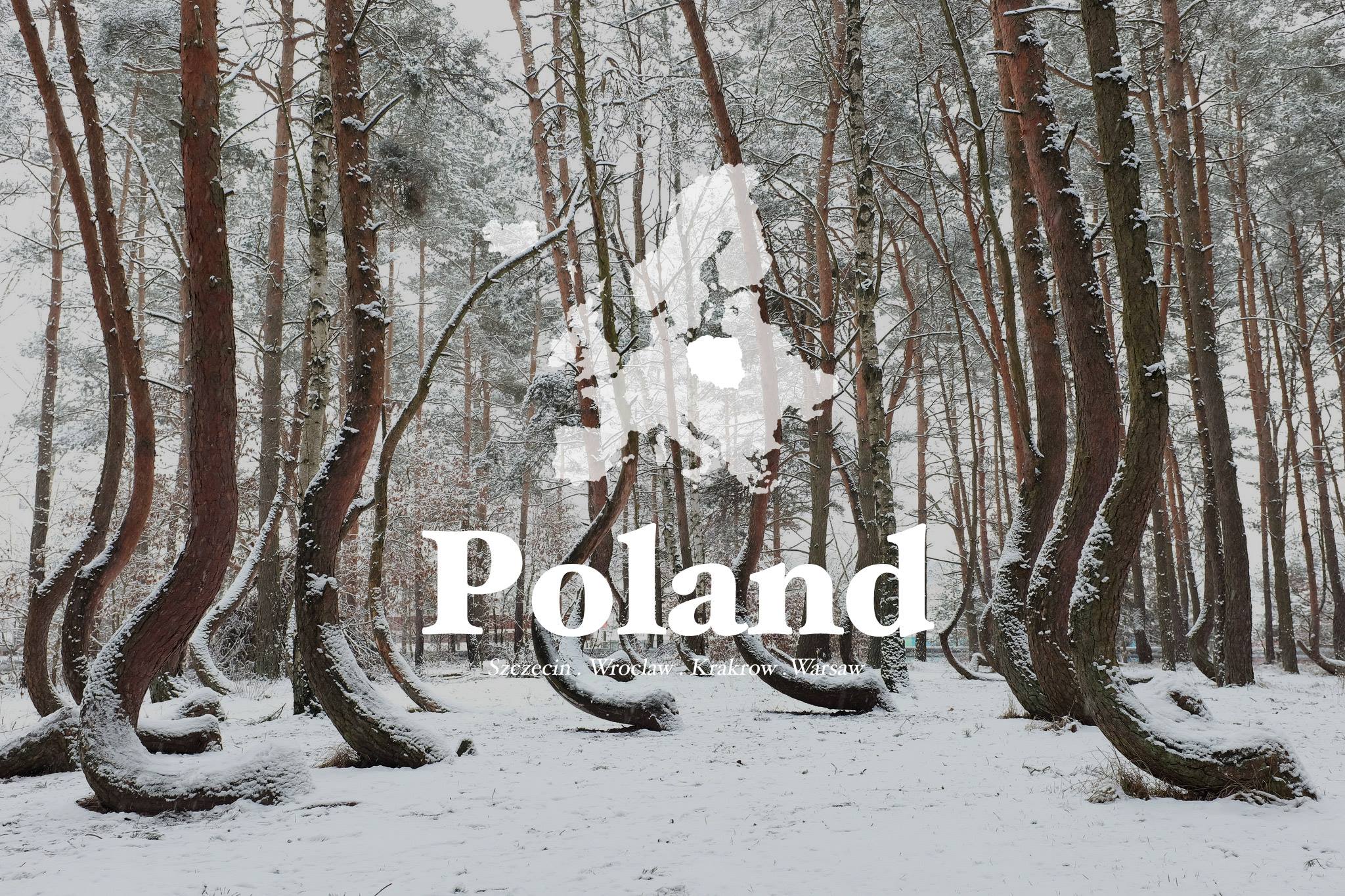 The Other Side of Poland | Above Sea Level